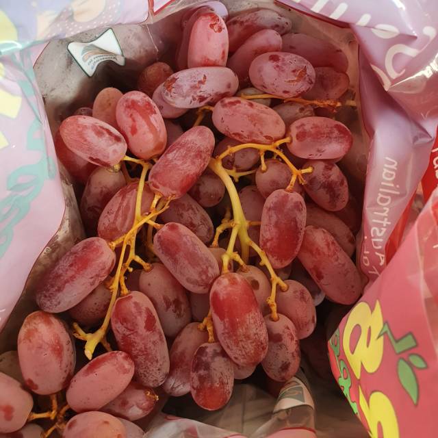 Jual Buah Anggur Merah Crimson Red Seedless Grapes Per Dus | Shopee ...