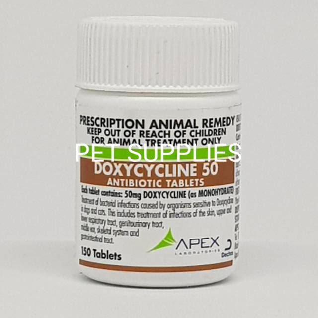 Jual Doxycycline 50 mg Obat Antibiotik Anjing Kucing harga per 5 butir ...