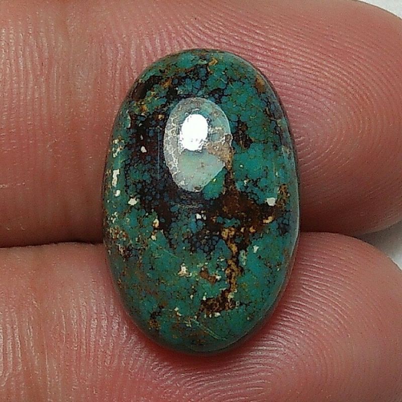 Jual natural pirus Persia | Shopee Indonesia