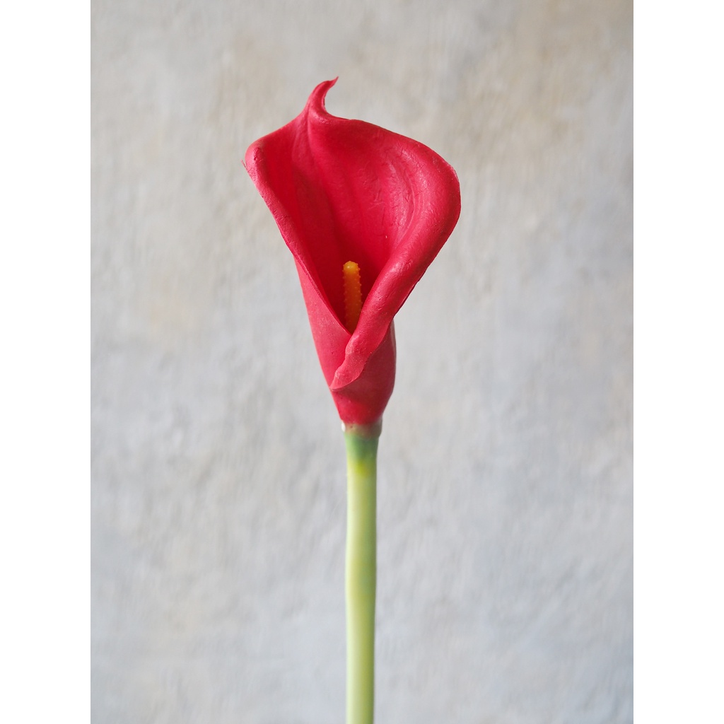 Jual Bunga Artificial Calla Lily Foam Kuncup (B22087) | Shopee Indonesia