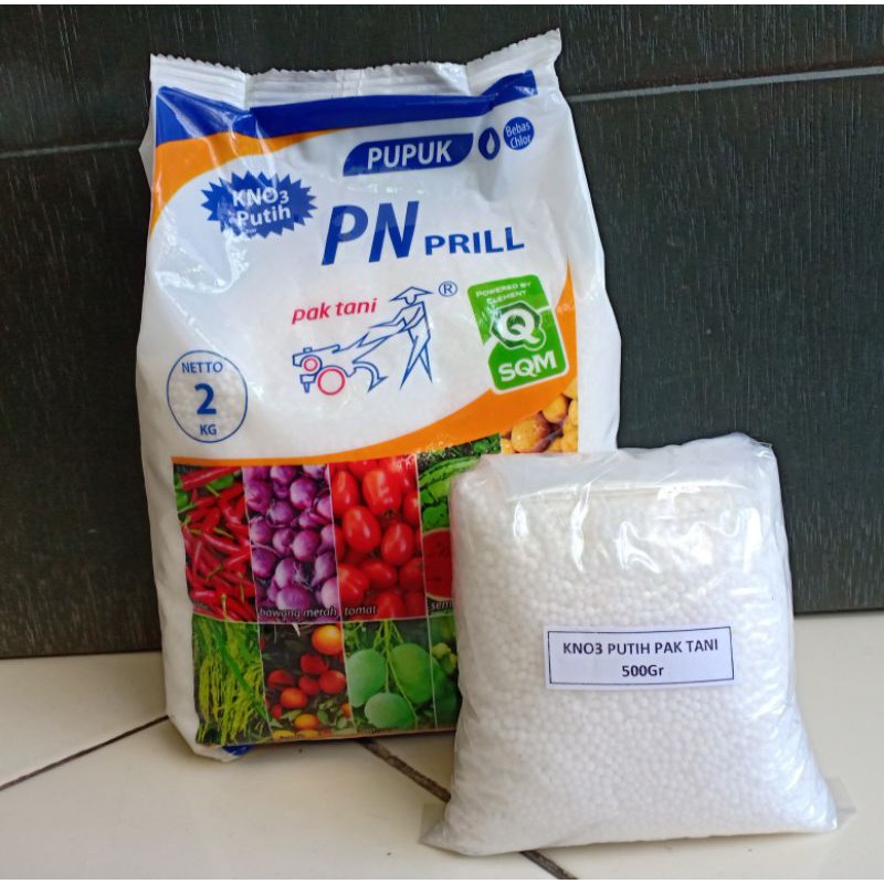 Jual 500Gr PUPUK KN03 | KNO3 PUTIH UNTUK BUNGA DAN BUAH | KEMASAN REPACK | Shopee Indonesia
