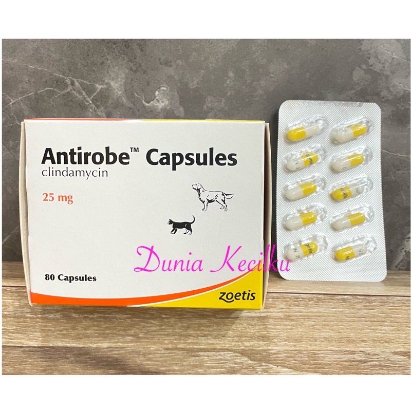 Jual Antirobe Capsule Mengatasi Abses / Infeksi Mulut / Pyoderma / Osteomyelitis (JUAL PER ...