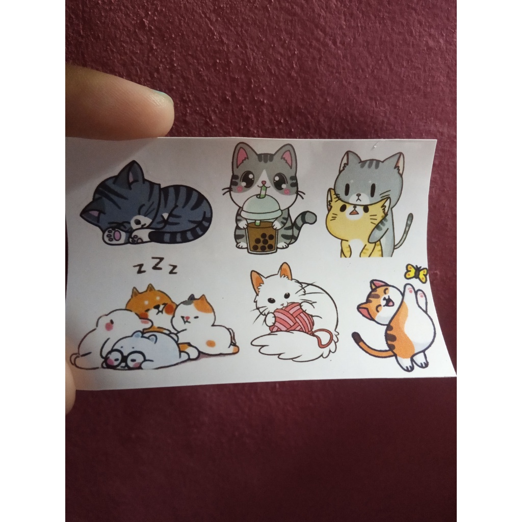Jual Stiker Kucing Lucu | Shopee Indonesia