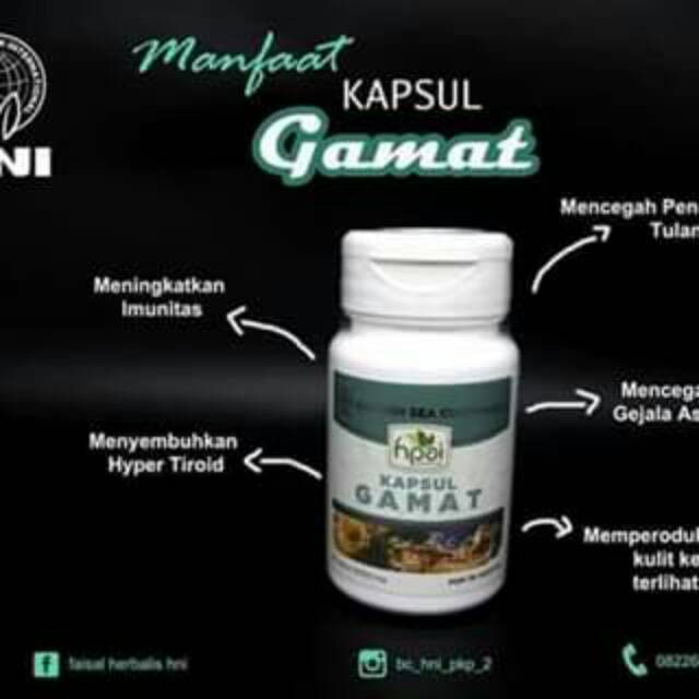 Jual Gamat kapsul serbaguna | Shopee Indonesia