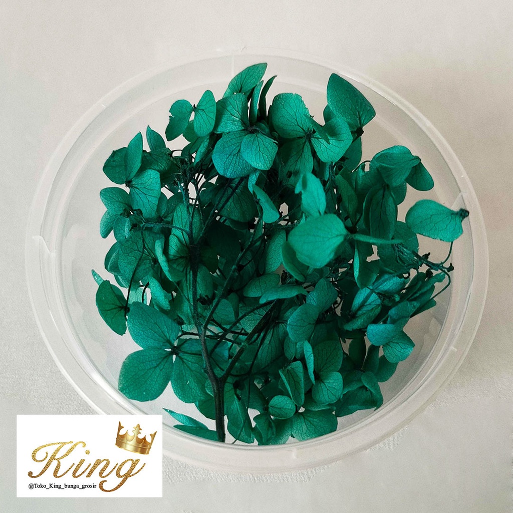 Jual (2gr) Preserved Hydrangea Dried Awetan Bunga Kering Preserved ...