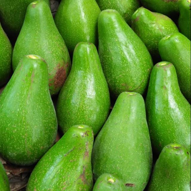 Jual Buah pokat | Shopee Indonesia