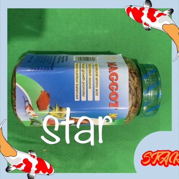 Jual makanan ikan hias PREDATOR MAGGOT UDANG MIX M27 100 gr botol ...