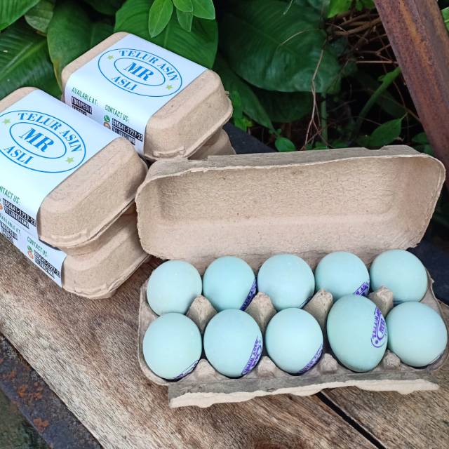Jual Paket Telur Asin MR isi 10 - PENGIRIMAN REGULER | Shopee Indonesia
