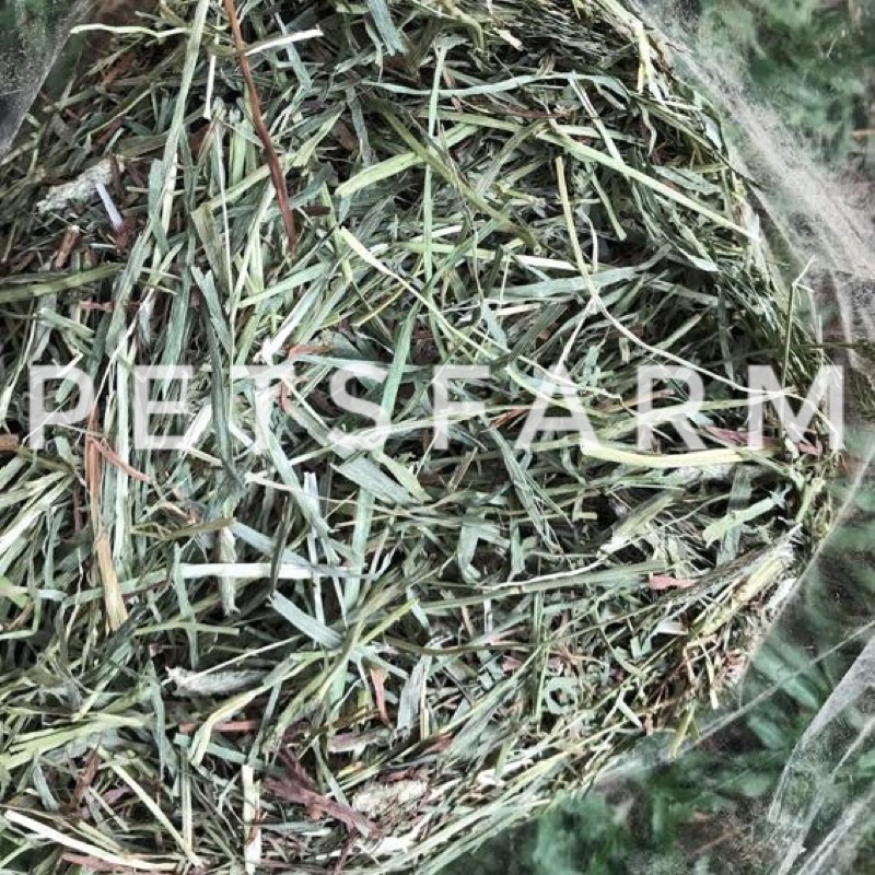 Jual Rumput Hay Timothy 1kg Timothy Hay First Choice 1 kg Rumput Hay ...