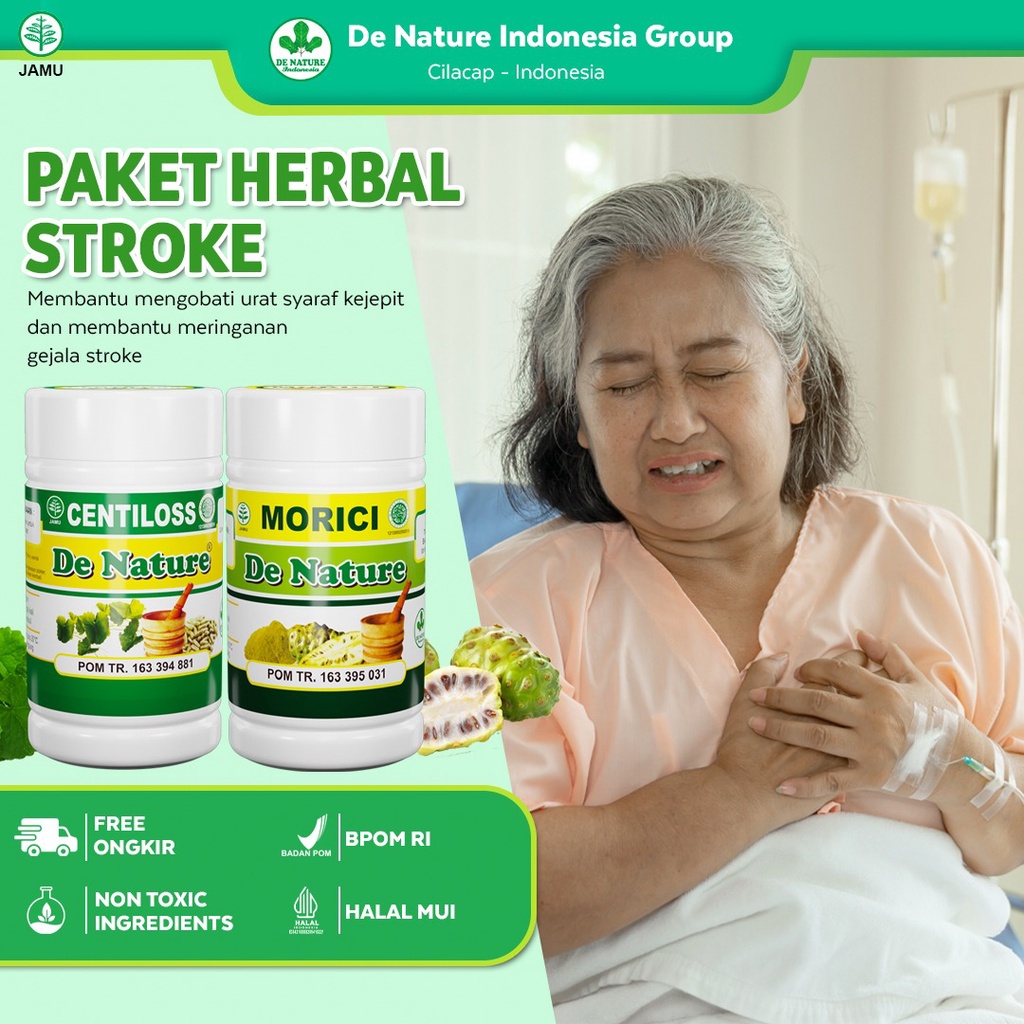 Jual Obat Stroke Struk Ringan Berat Paling Ampuh, Lumpuh Menahun ...