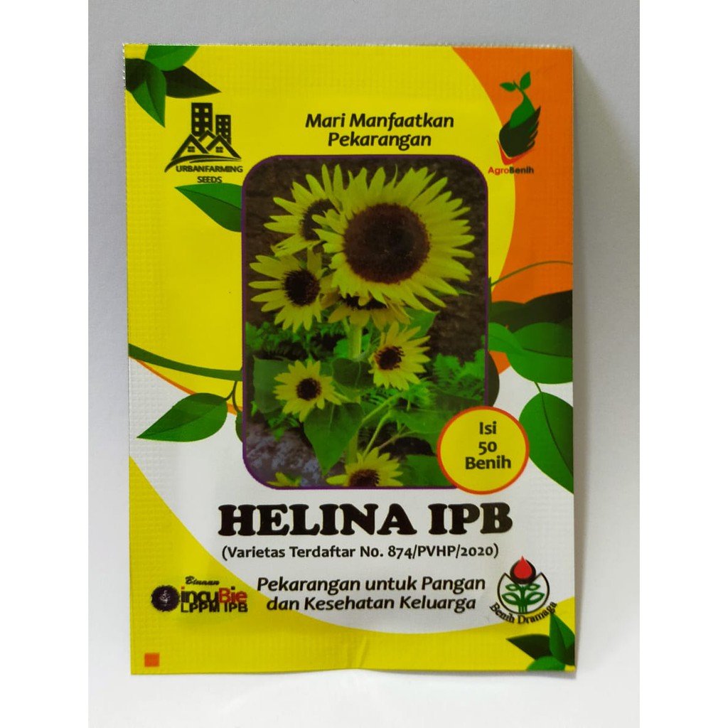 Jual Benih Bunga Matahari HELINA | Shopee Indonesia