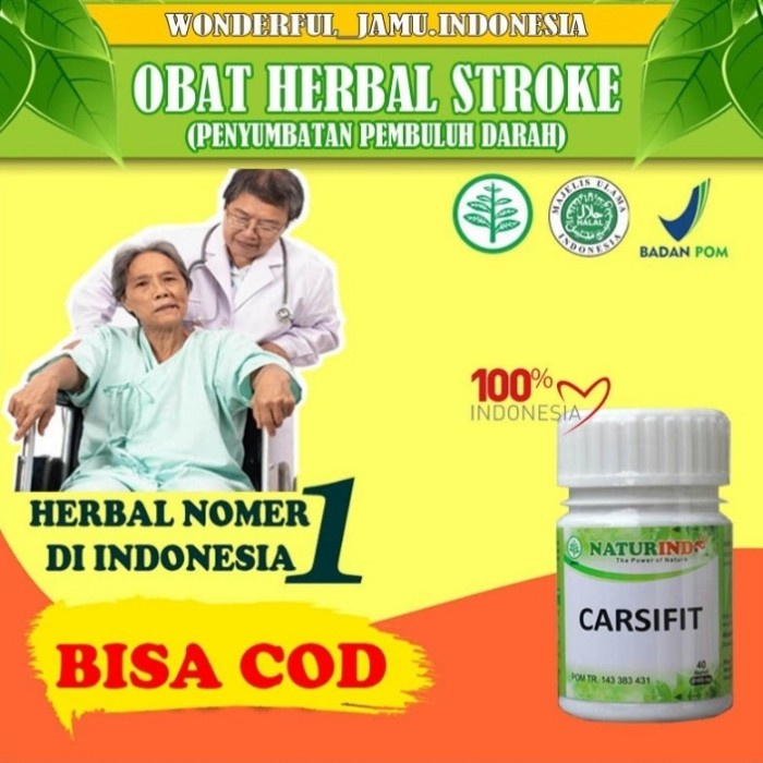 Jual TERUJI Obat Stroke Herbal,Obat herbal stroke,CARSIFIT Stroke ...