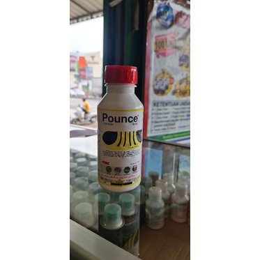 Jual Insektisida Pounce 500ml | Shopee Indonesia