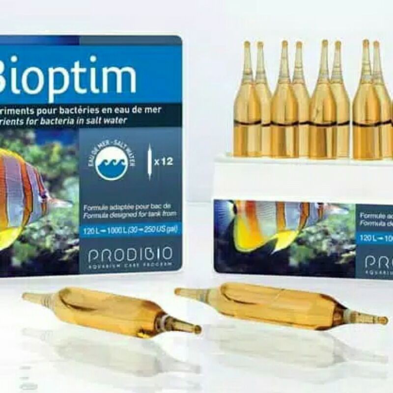Jual Bioptim Prodibio 1 Vial ampul Living Bacteria Bakteri starter ...