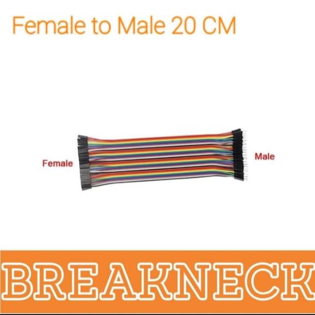 Jual Kabel Jumper Arduino Female to Male 20 CM | Shopee Indonesia