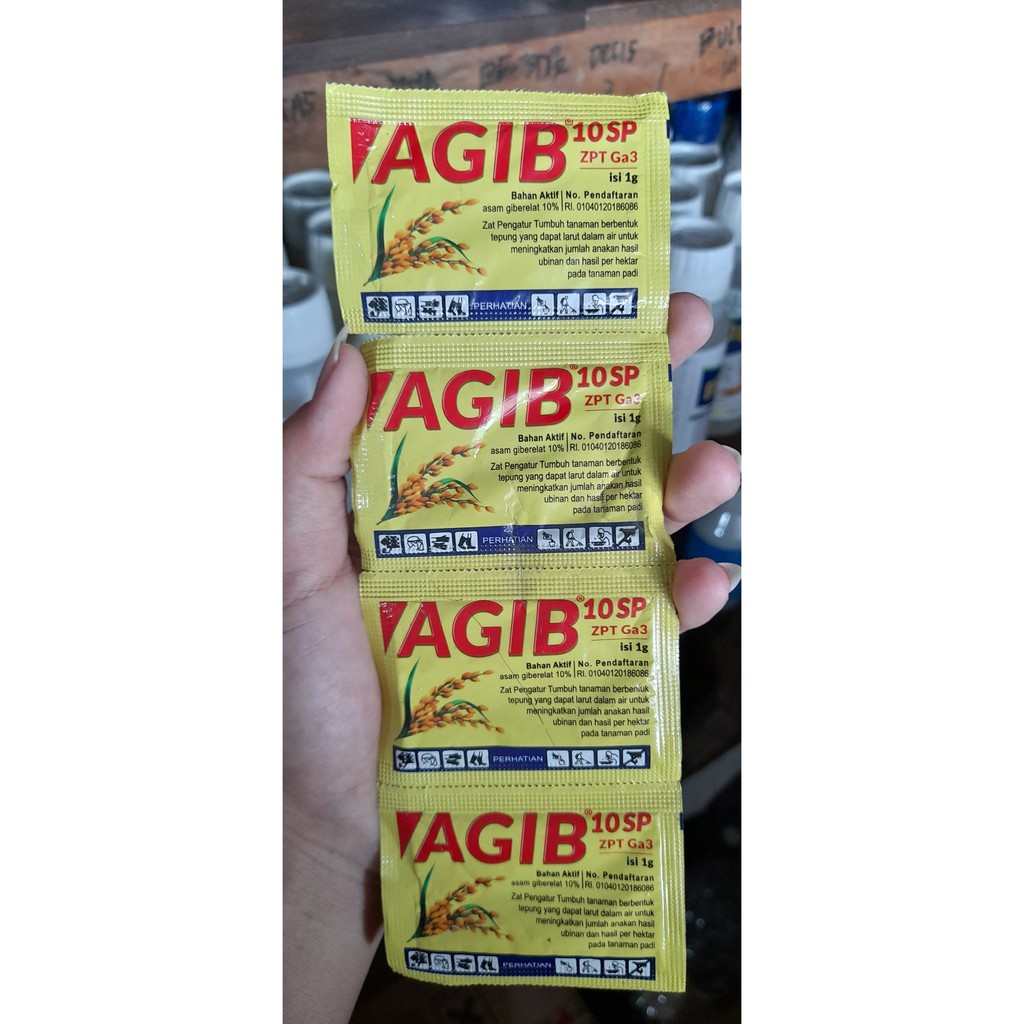 Jual AGIB 10SP ZPT GA3 - Zat Pengatur Tumbuh | Shopee Indonesia