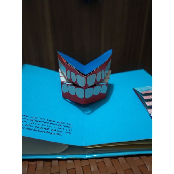 Jual Pop Up Book Custom Isi 6 lembar | Shopee Indonesia