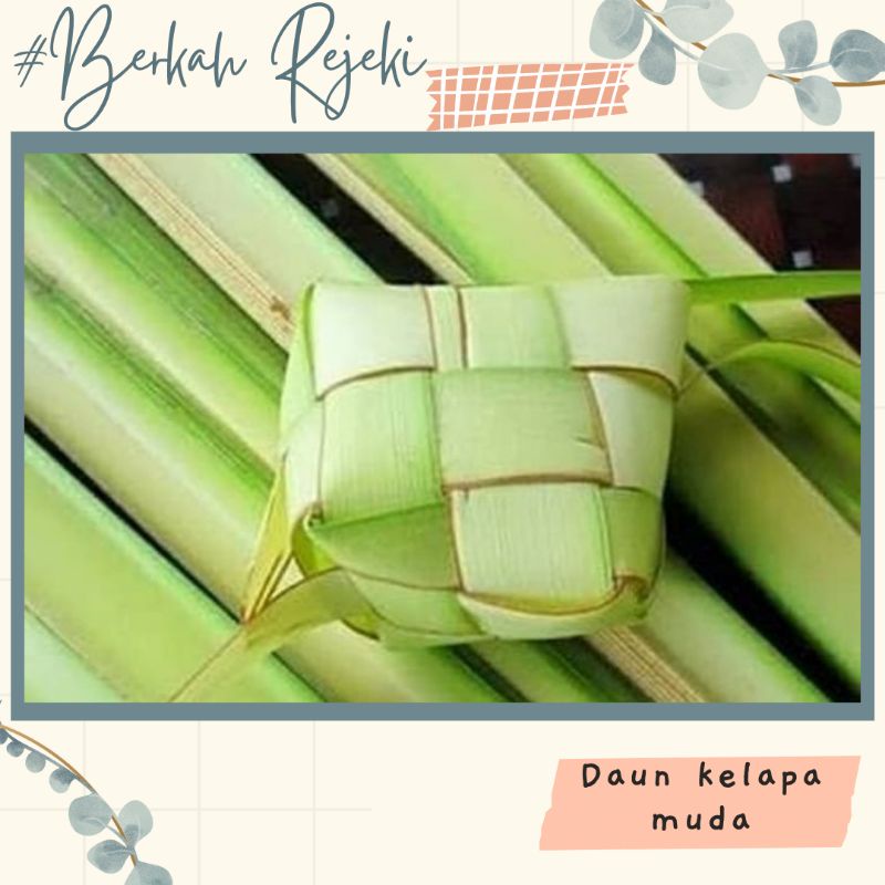 Jual Daun kelapa muda fresh/janur kelapa muda/bahan membuat ketupat ...