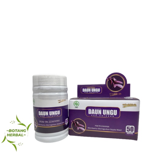 Jual Kapsul Herbal Daun Ungu Ash-Shihah BPOM Mengatasi Gejala Wasir / Ambeien #obat wasir #daun ...