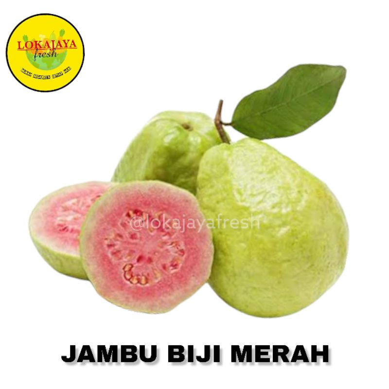 Jual Jambu Biji Merah 1 Kg | Shopee Indonesia