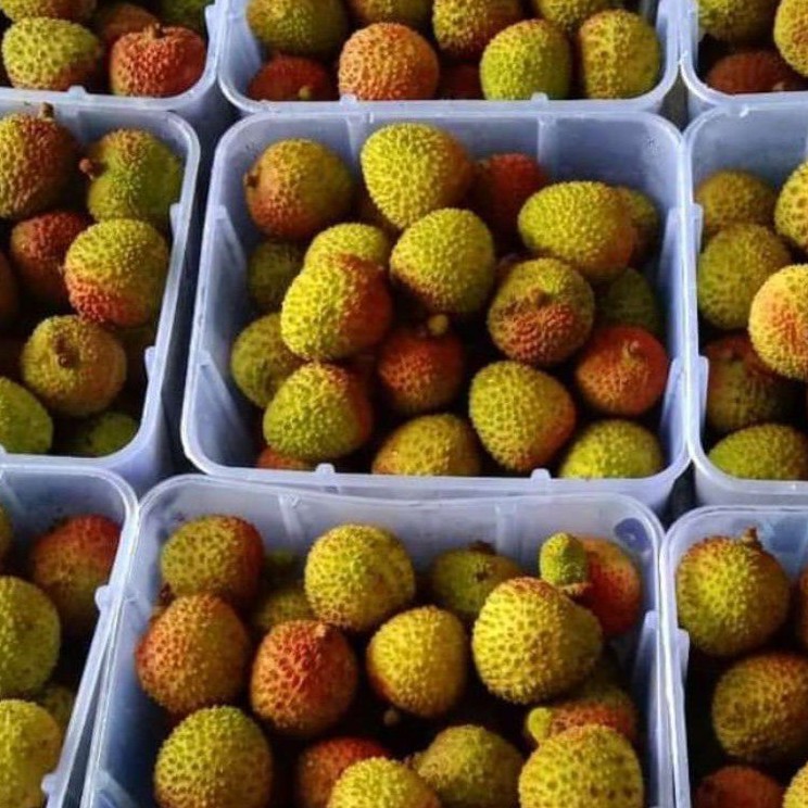 Jual Buah Leci Terlengkap & Harga Terbaru Mei 2026 | Shopee Indonesia