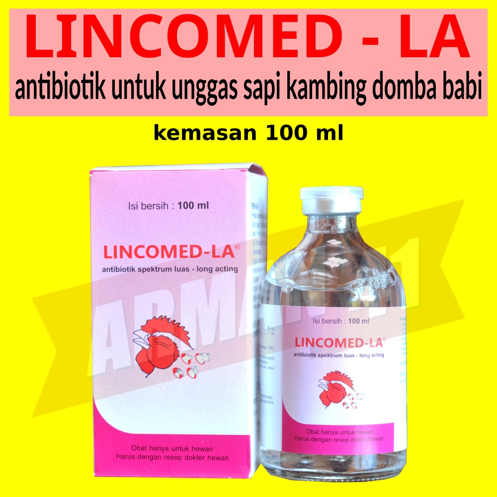 Jual Obat Antibiotik Ayam Sapi Kambing Domba Babi LINCOMED LA 100 ml ...