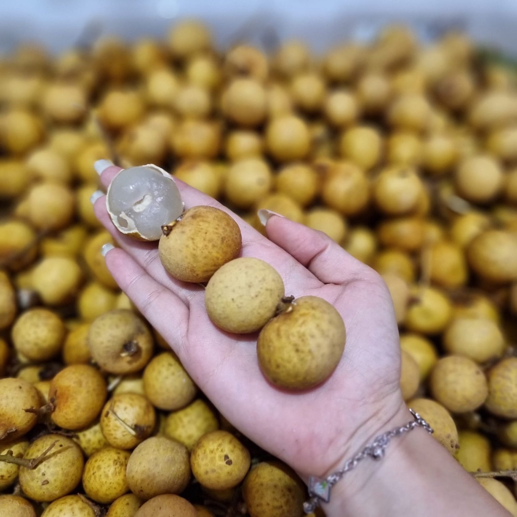 Jual BUAH KELENGKENG / LENGKENG RED 1kg | Shopee Indonesia