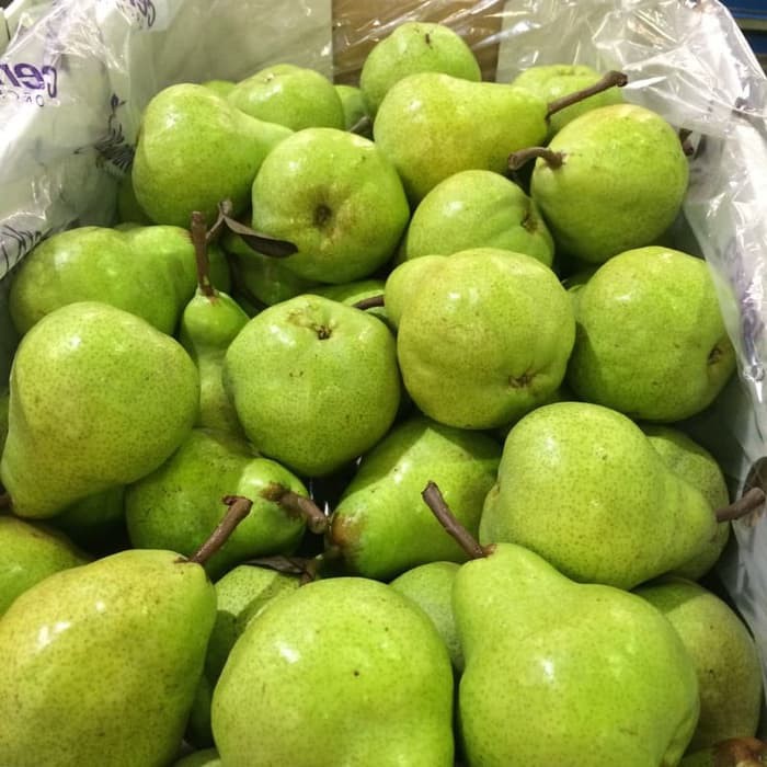 Jual Buah Pear Pir Packham Segar 1 kg dari Pasar SAYUR ONLINE BANDUNG ...