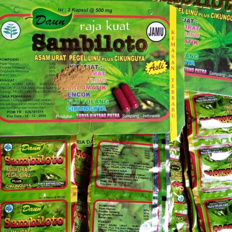 Jual Jamu Herbal kapsul Daun sambiloto | Shopee Indonesia