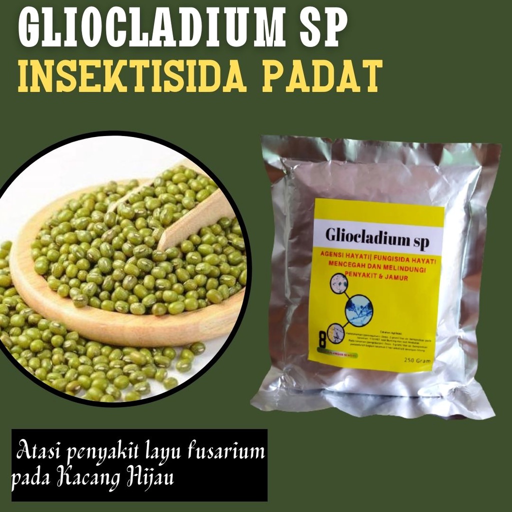 Jual Pupuk Kacang Hijau Agar Berbuah Banyak, Gliocladium Fungisida ...