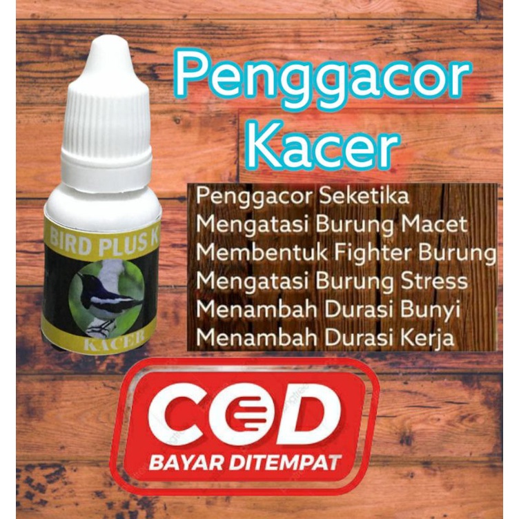 Jual [COD] Penggacor Burung Kacer | Shopee Indonesia