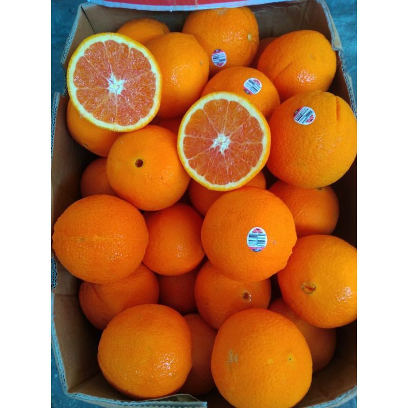 Jual Jeruk Sunkist Navel aussie | Shopee Indonesia