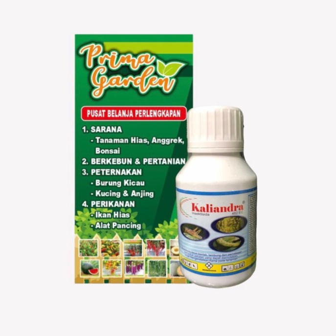Jual Insektisida KALIANDRA 482EC 80ml- Insektisida Pembasmi Hama ...