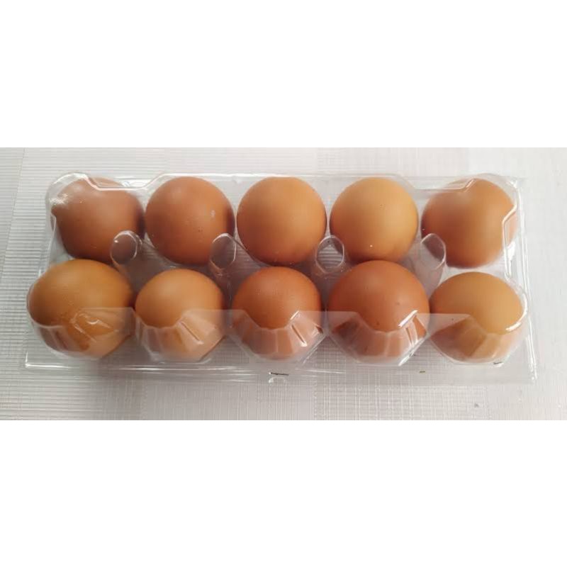Jual BSM | TERMURAH Telur Ayam Isi 10 Butir | Sayur online | Shopee ...
