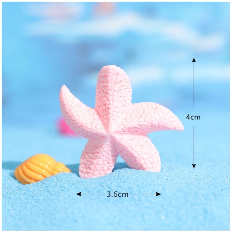 Jual Topper Kerang Bintang Laut Resin Untuk Hiasan Kue Jepit Magnet ...
