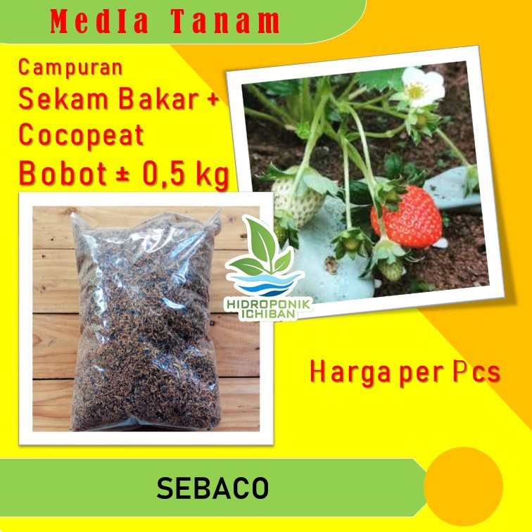 Jual Media Tanam SEBACO SEBAKO Campuran SEKAM BAKAR dan COCOPEAT 500 ...