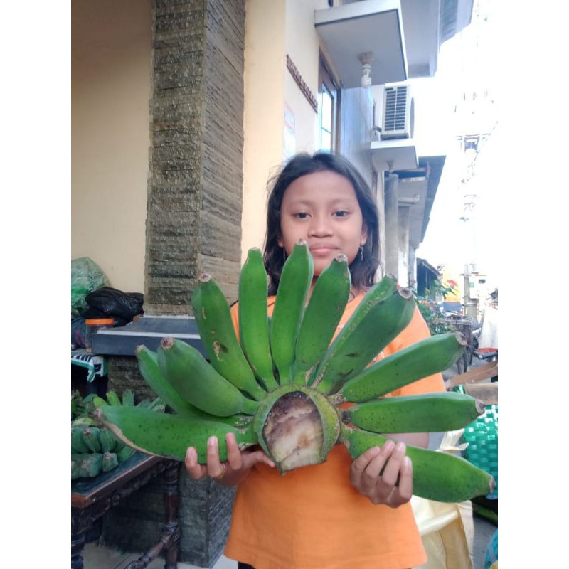 Jual PISANG ROJO SUPER | Shopee Indonesia