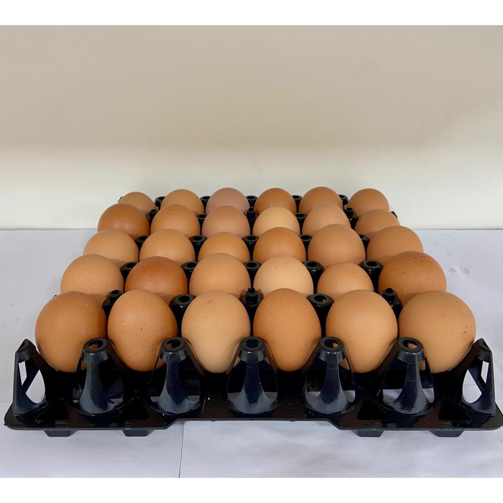 Jual Telur Ayam Negeri Fresh 1 kg | Shopee Indonesia