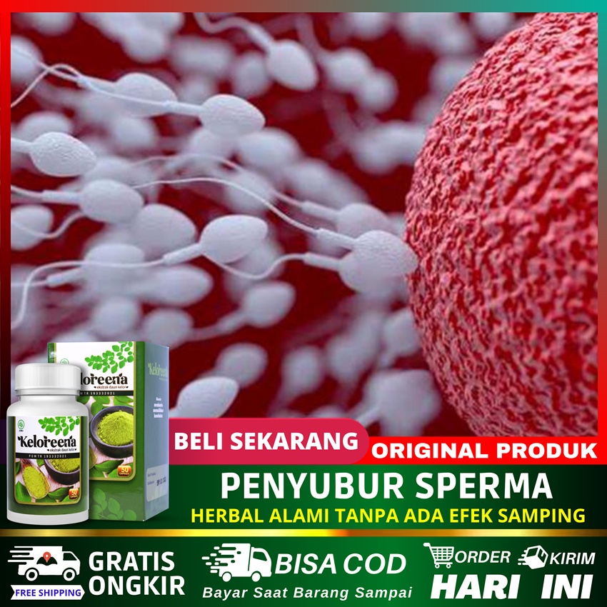 Jual Obat Penyubur Sperma Pengental Sperma Pria Agar Cepat Hamil Penyubur kandungan Promil ...