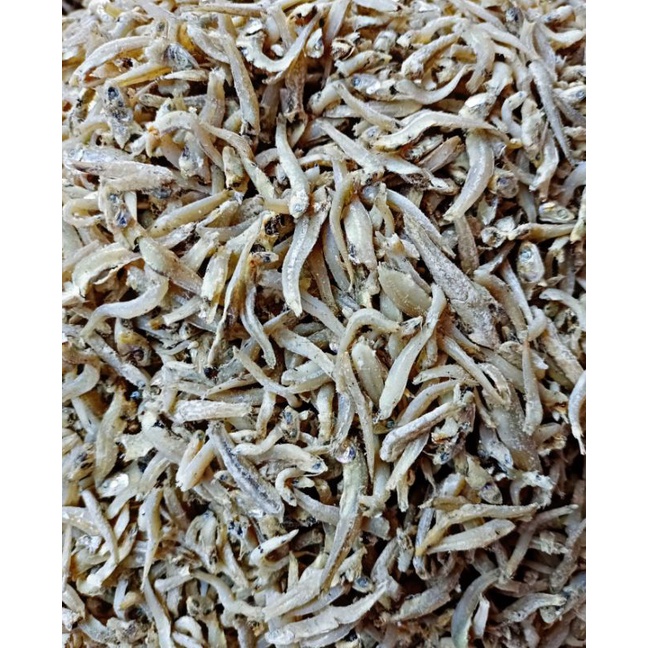 Jual IKAN TERI ASIN BONTIO KUALITAS TERBAIK 1/2Kg | Shopee Indonesia