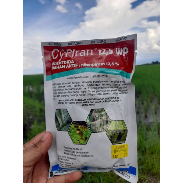 Jual Insektisida Cypiran 12.5WP kemasan 100gr Cipiran Pembasmi Thrips ...