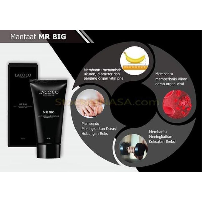 Jual LACOCO MR BIG NASA (ORIGINAL) | Shopee Indonesia