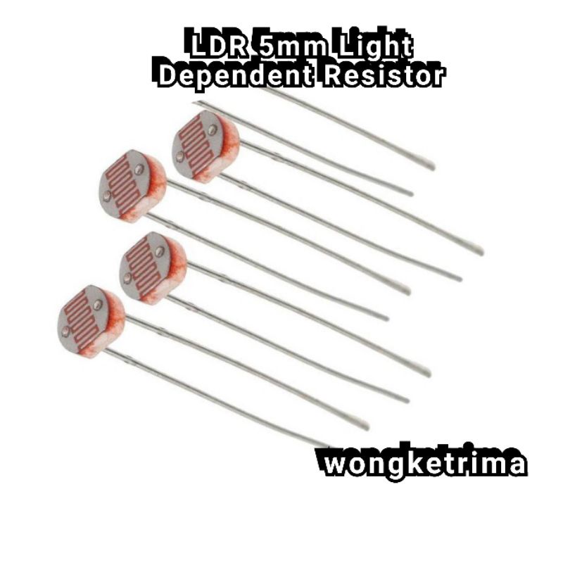 Jual Photoresistor LDR 5mm Light Dependent Resistor Sensor 5 mm ...