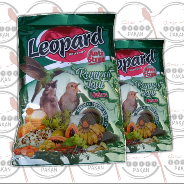Jual LEOPARD HIJAU (RUMPUT LAUT) | Shopee Indonesia