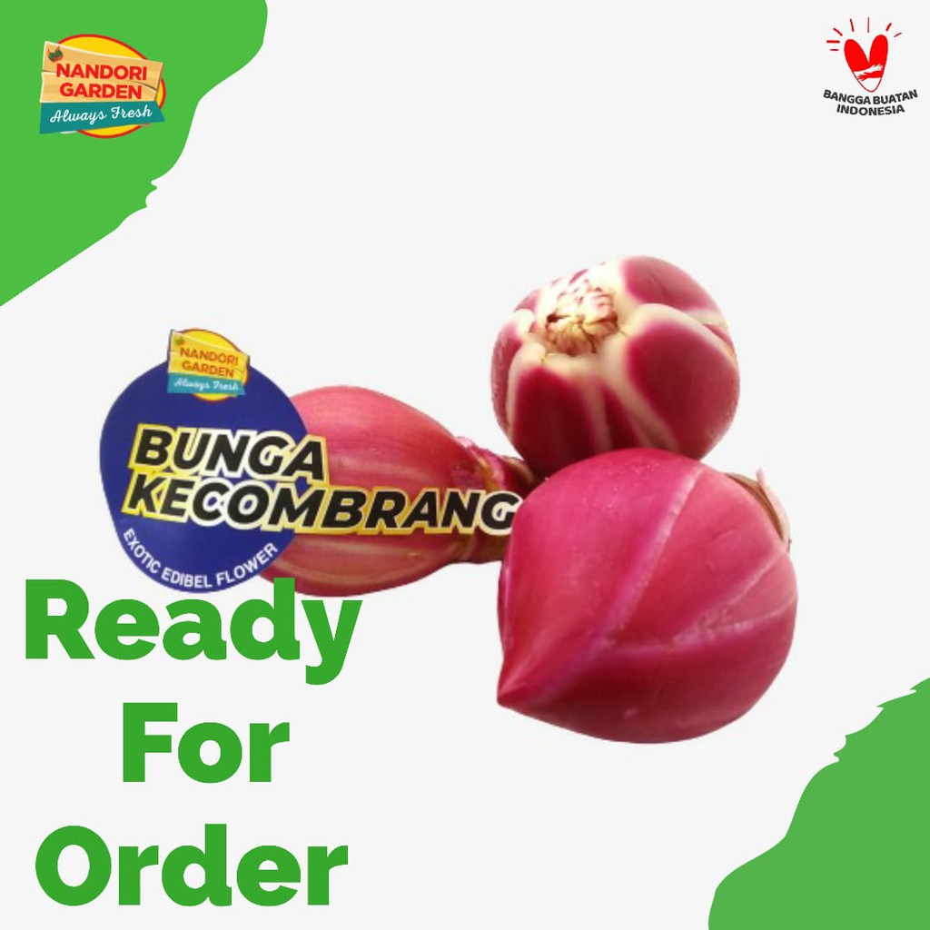 Jual Bunga Kecombrang Sayur / Kincung 250gr | Shopee Indonesia