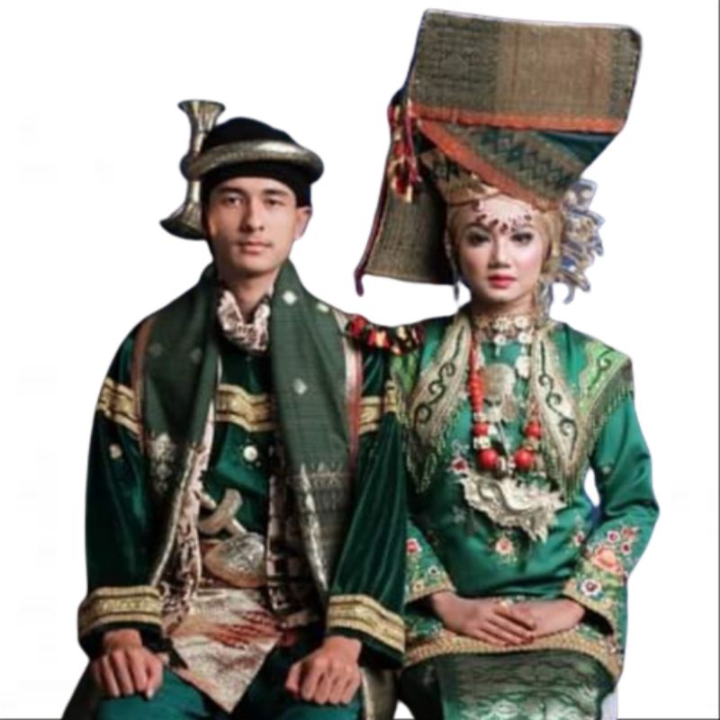 Jual TINGKULUAK SUNGAYANG ATAU TANDUAK SUNGAYANG | Shopee Indonesia