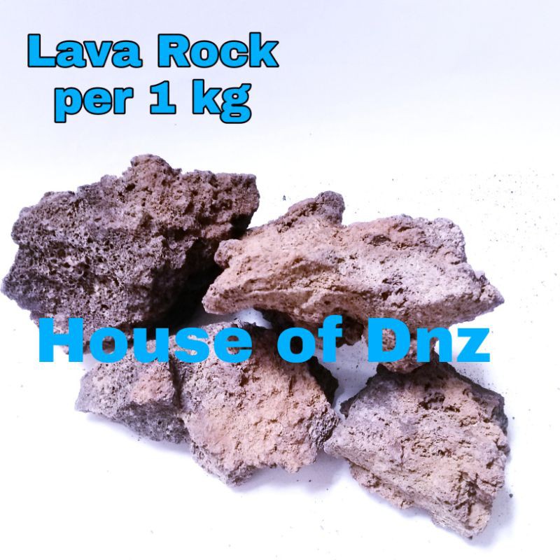 Jual Batu Lava Rock Batu Aquascape Lava Rough Batu Dekorasi Aquarium ...
