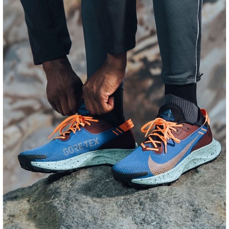 Jual Sepatu Nike Pegasus Trail 2 GORE-TEX Blue | Shopee Indonesia