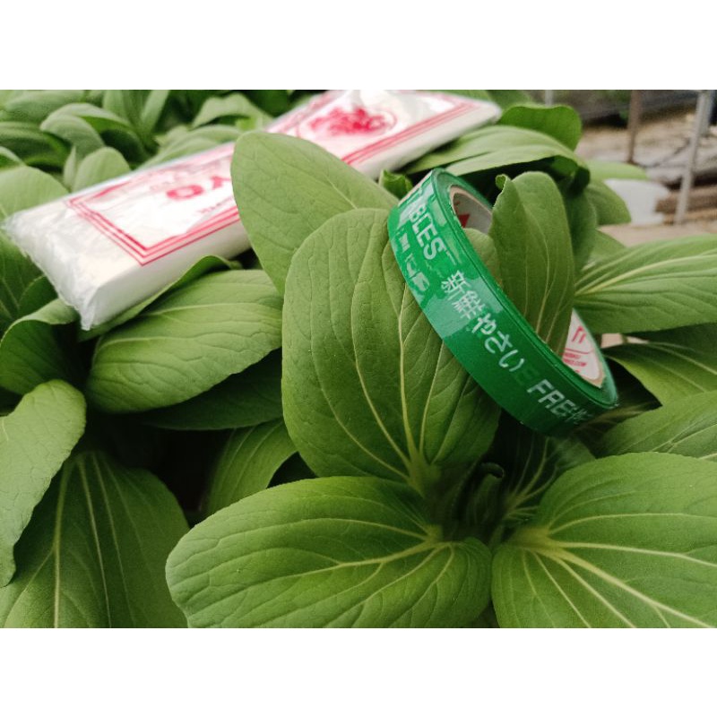 Jual Paket Packaging sayuran segar Hidroponik (isolasi +Plastik ...