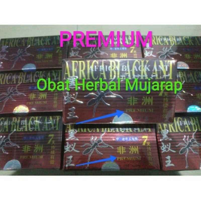 Jual Semut Afrika Premium / Semut Hitam Premium Original / Semut Hitam ...